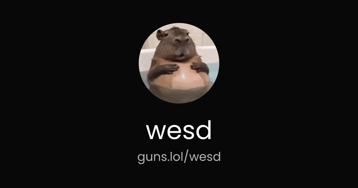 @wesd | guns.lol